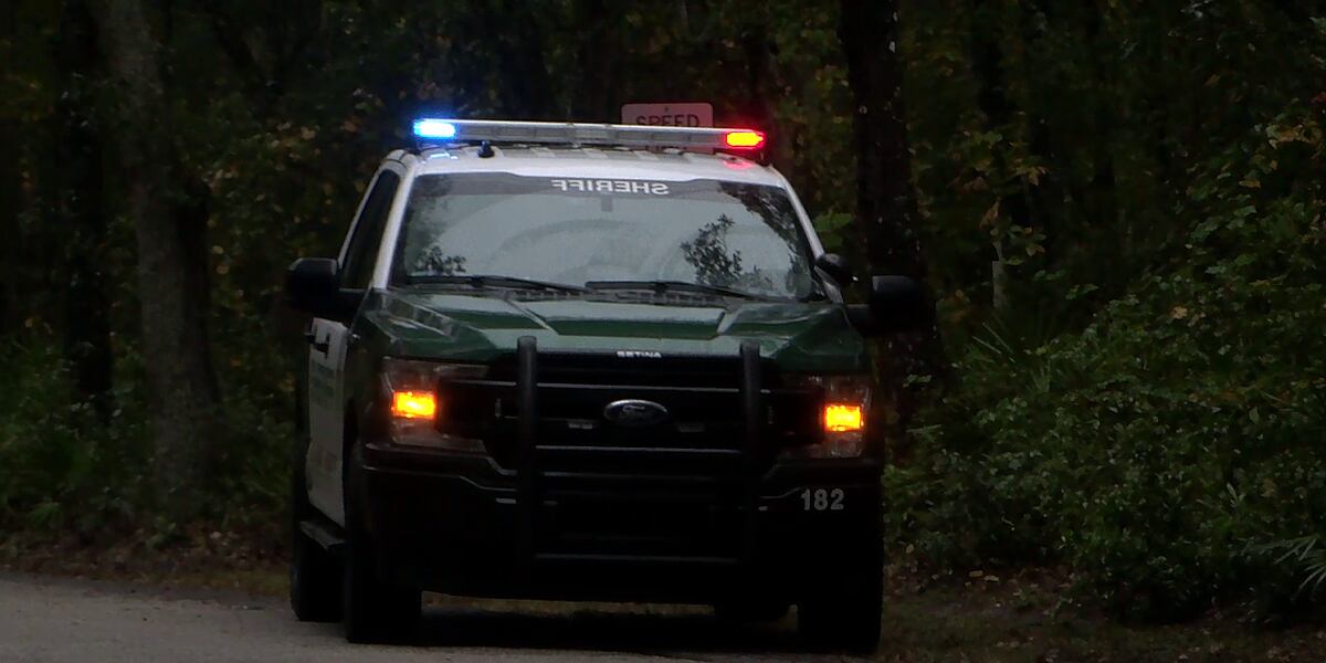NTSB investigates deadly plane crash in Paynes Prairie State Preserve NTSB investigates deadly plane crash in Paynes Prairie State Preserve